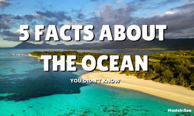 5 interesting facts about the ocean you didn't know